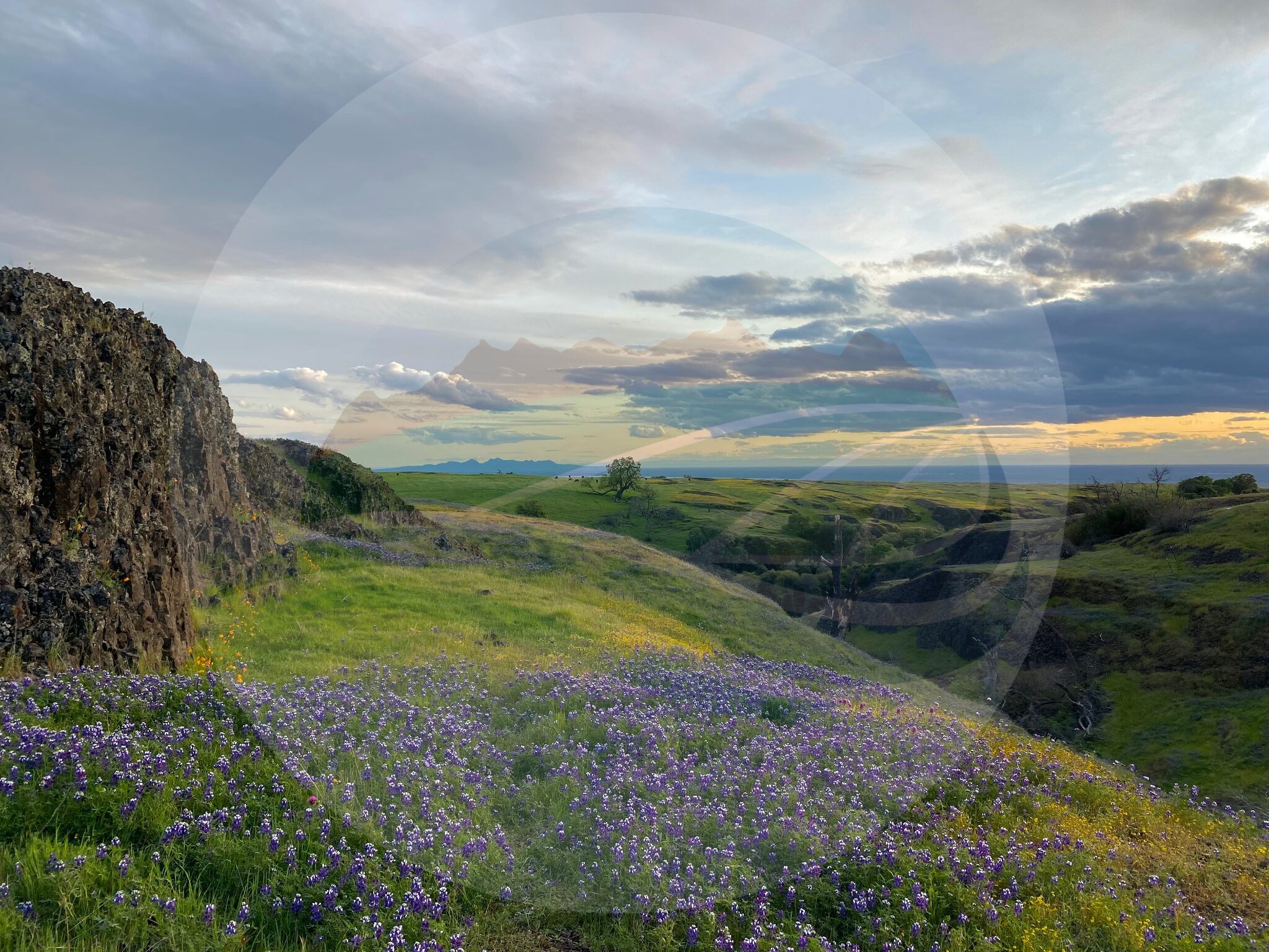 FAQs - Sutter Buttes Regional Land Trust