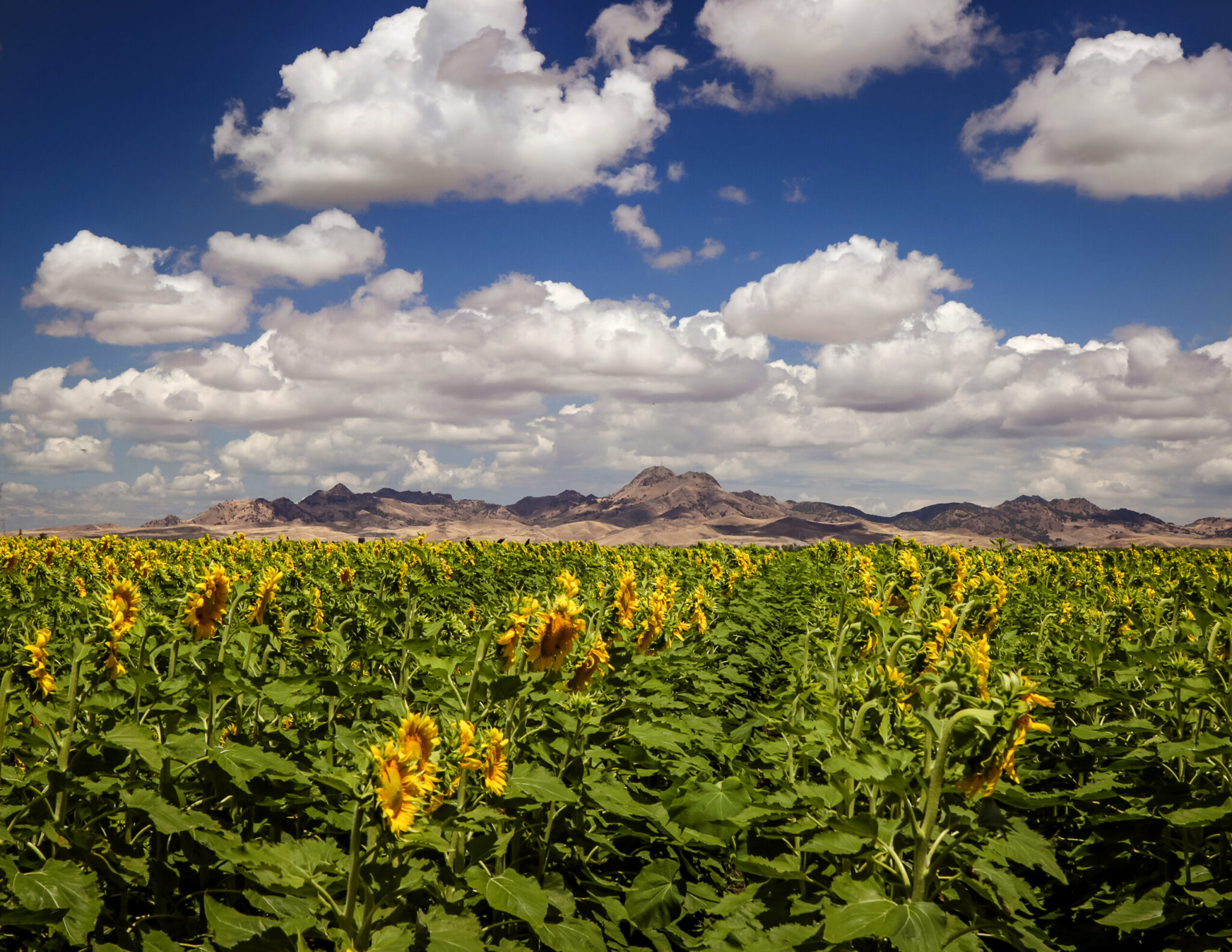About SBRLT - Sutter Buttes Regional Land Trust